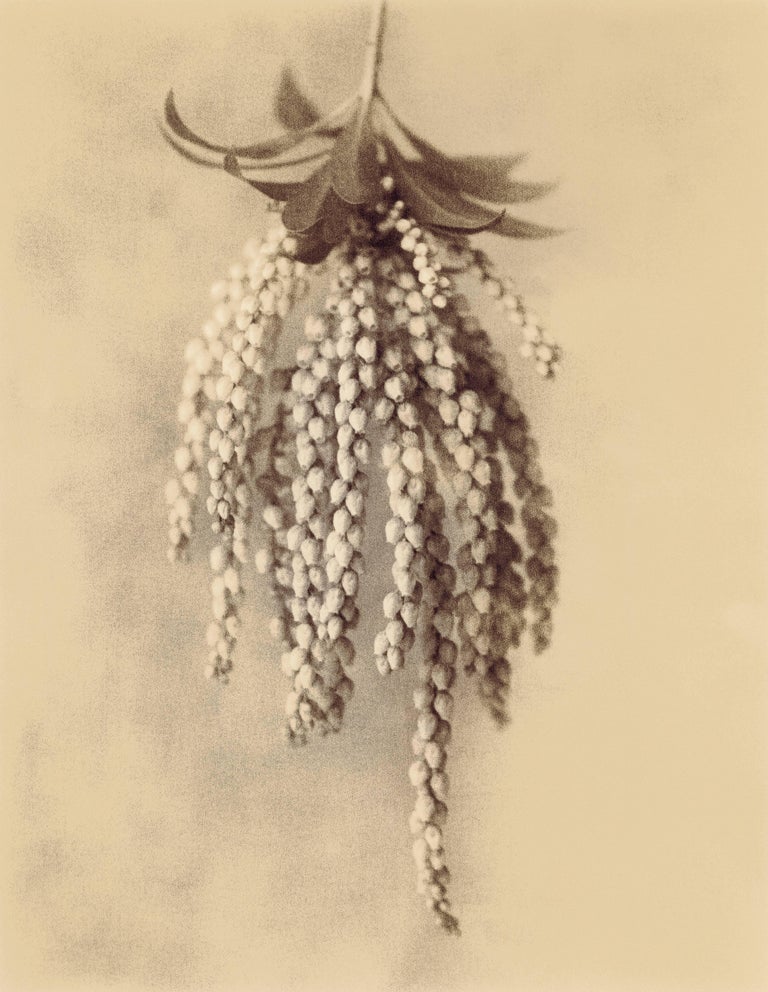 Thomas Brummett - Untitled 11 For Sale at 1stDibs