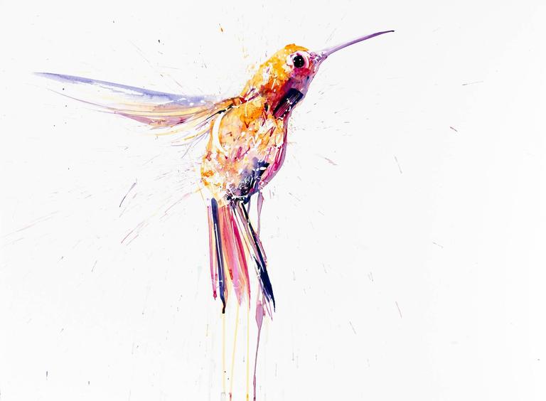 David White - Hummingbird I Small Pink #48/50 at 1stDibs
