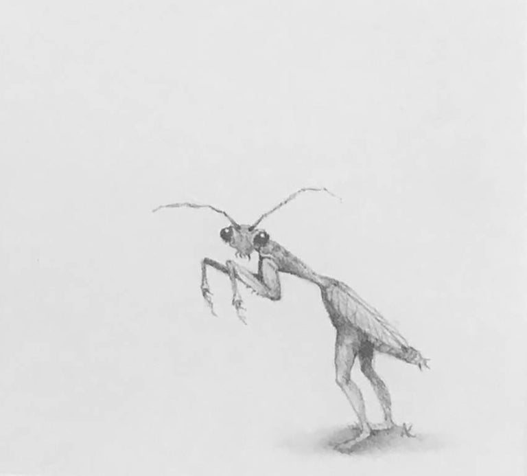Praying Mantis Face Drawing