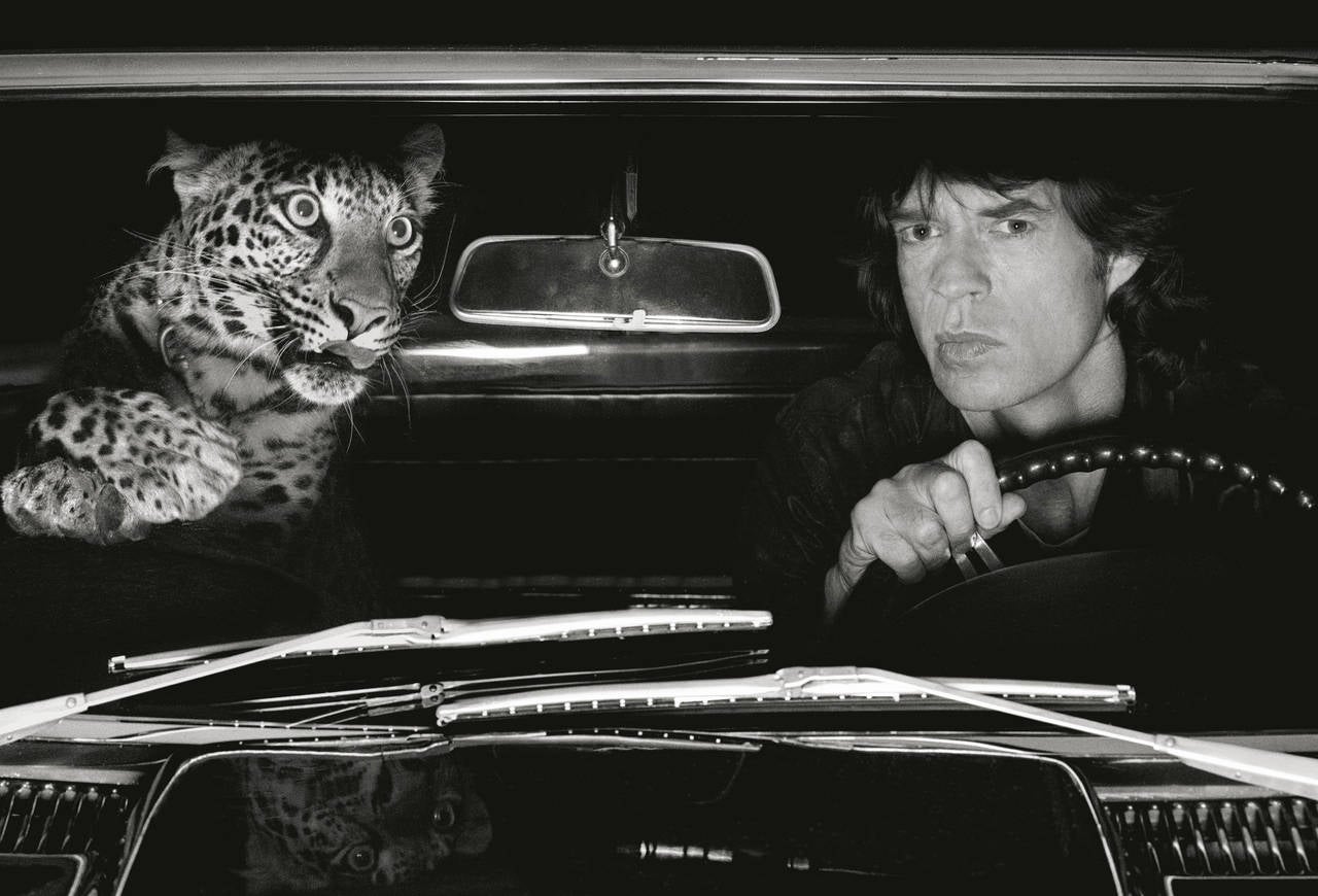 Albert Watson - Mick Jagger in Car with Leopard, Los Angeles For Sale ...