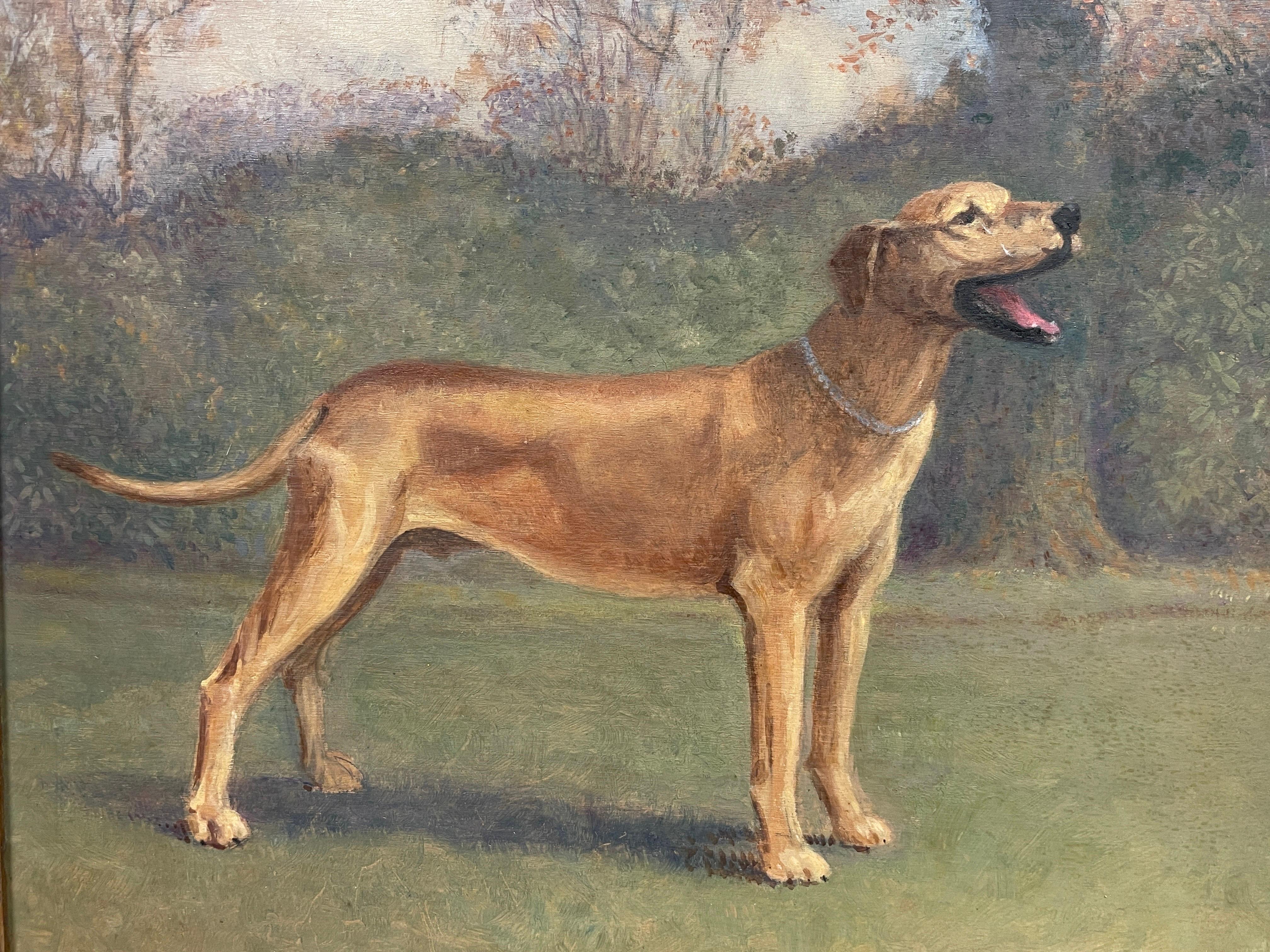 English Antique Oil - 1900's English Dog Painting Portrait of Great ...