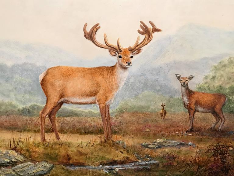 Leonard G. Stephens - Red Deer in Scottish Highlands Signed Original ...
