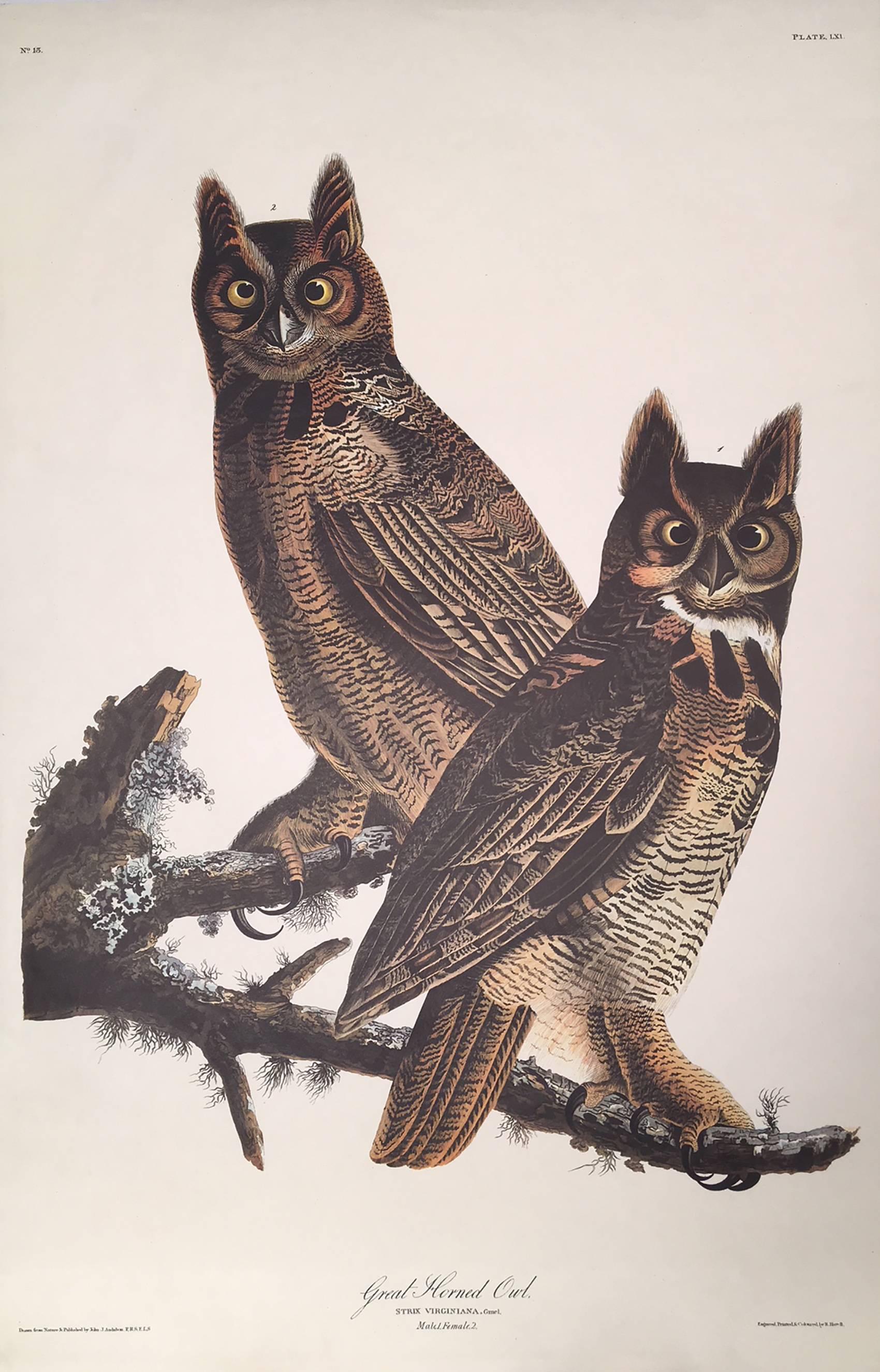 Alexander Geiss - Portrait of Boy With Fruit at 1stDibs