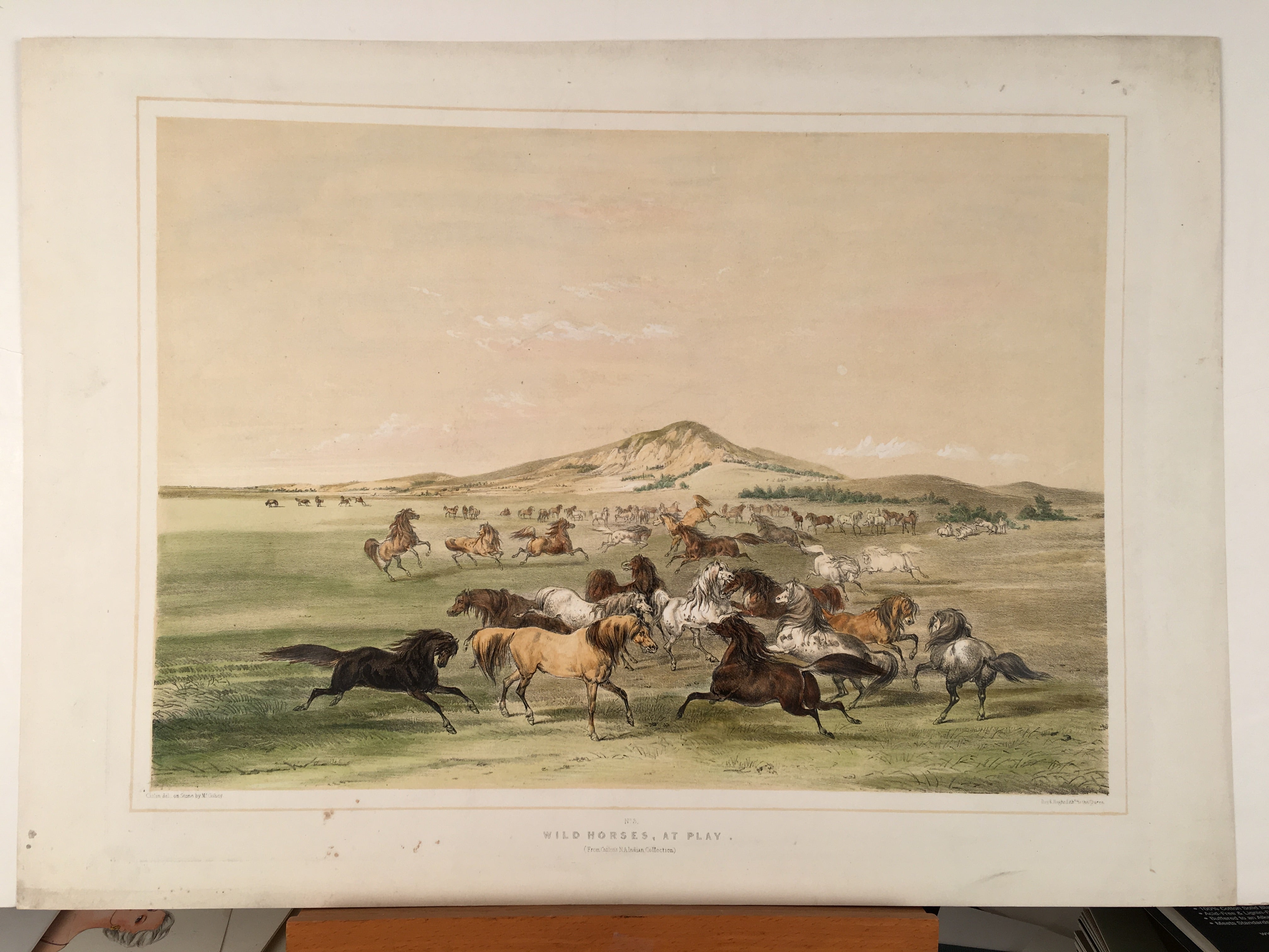 George Catlin - Buffalo Hunt, Approaching a Ravine PL. No 11 Catlin ...