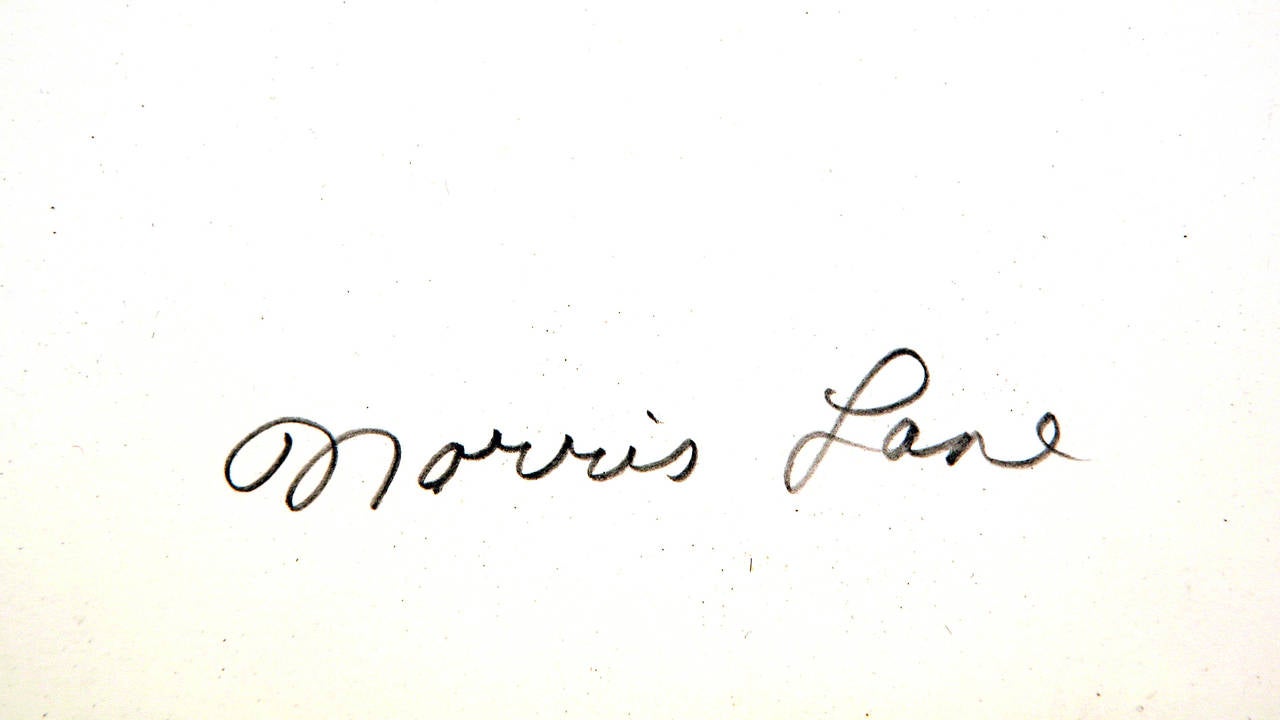 Morris Lane - Gordon Parks at 1stDibs | gordon parks self portrait ...