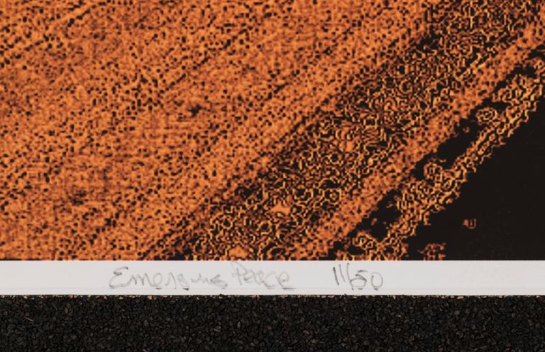 Jim Durling-Jones - Emerging Worlds For Sale at 1stDibs | james durling ...