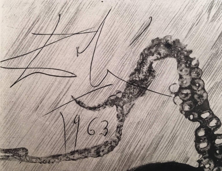 Salvador Dalí­ - Medusa (La Meduse), Print For Sale at 1stdibs