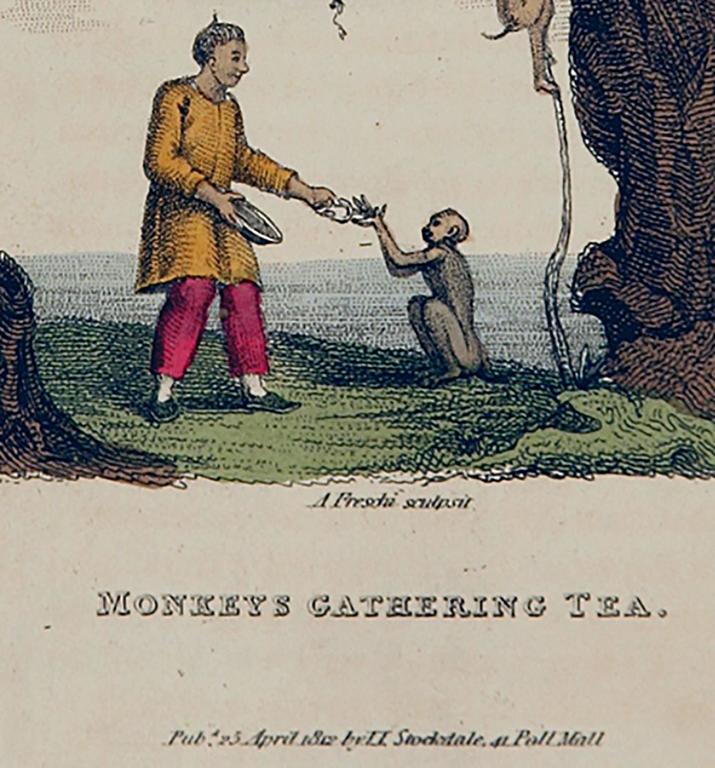 Unknown - Monkeys Gathering Tea at 1stDibs