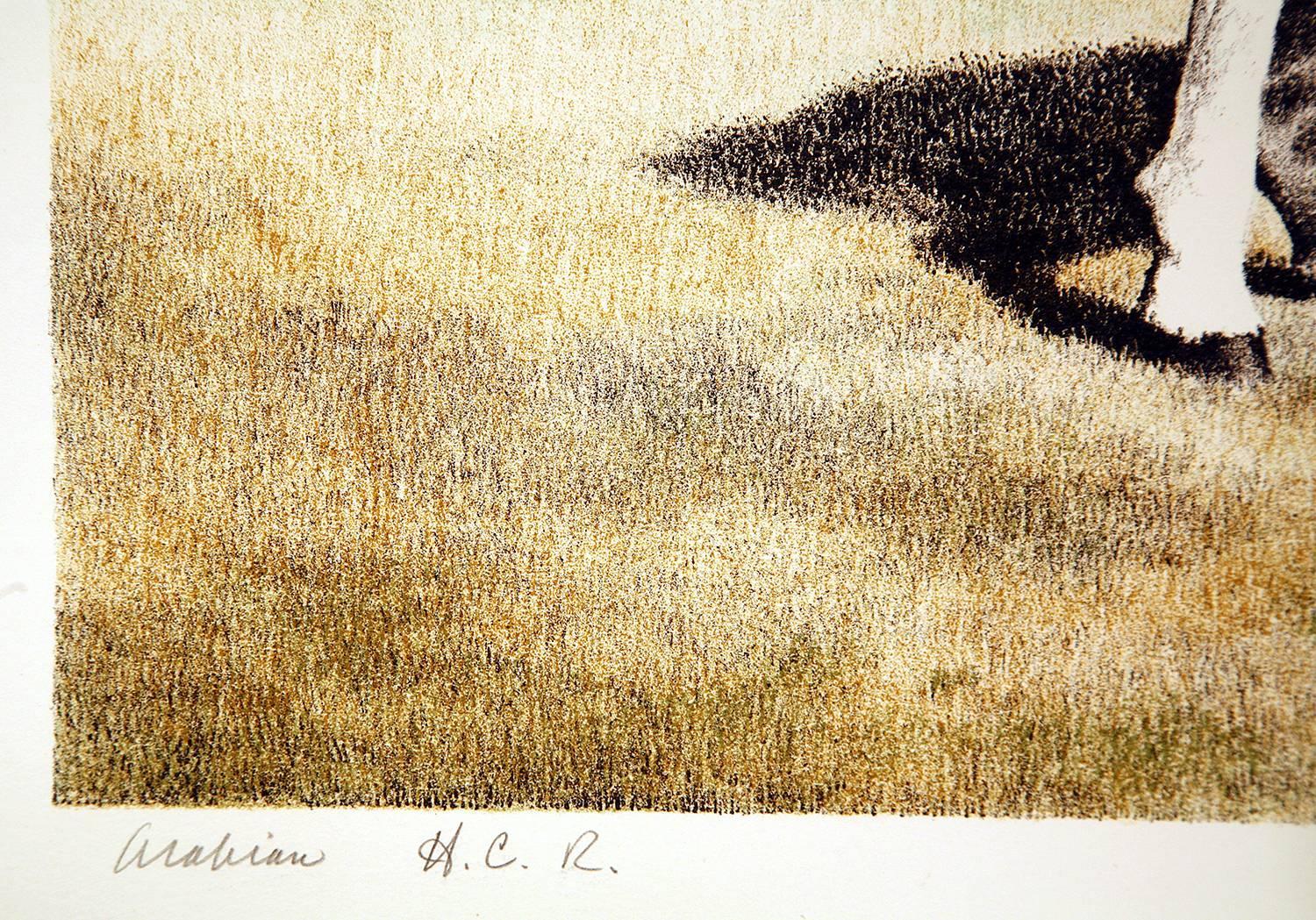 Mel Hunter - Portrait of an Arabian Horse For Sale at 1stdibs