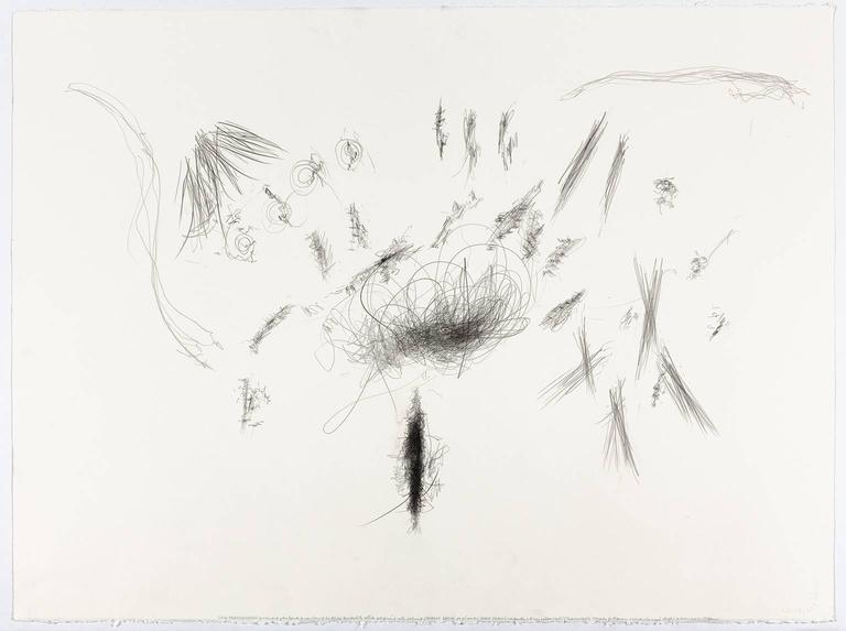 Morgan O'Hara - Performative Drawing Live Transmission: Stravinsky’s ...