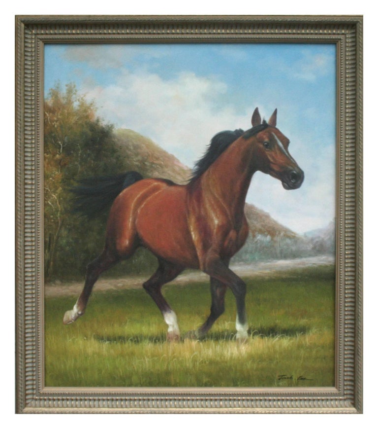 Jack Lee - Arabian Horse at 1stDibs