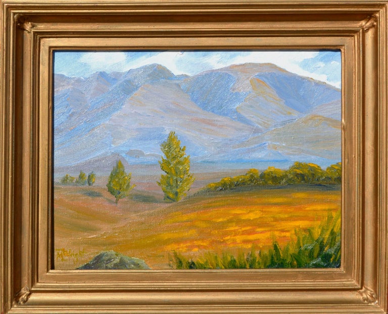 Mike Wright - Desert Poppies, Painting For Sale at 1stdibs