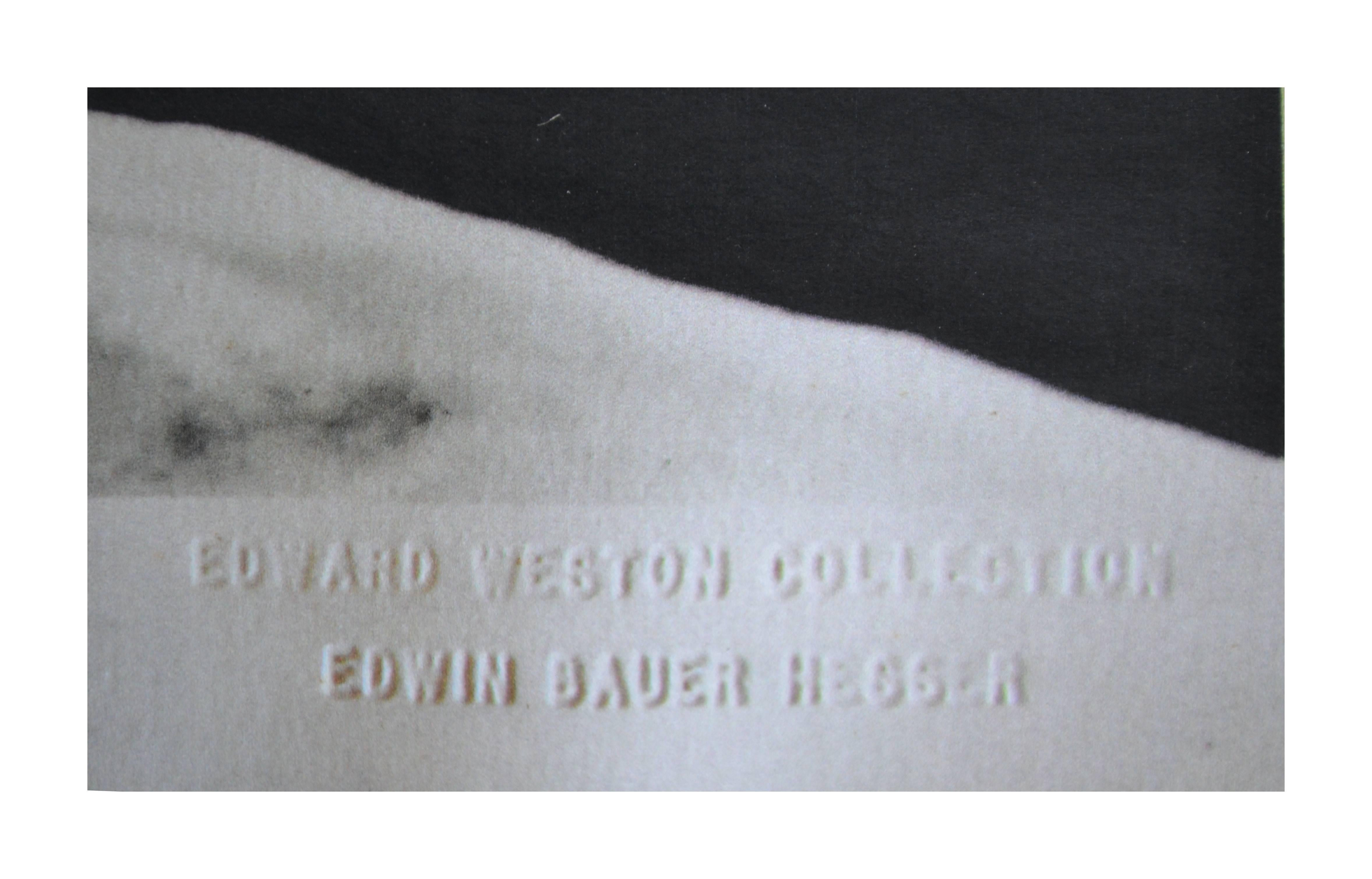 Edwin Bower Hesser - Jean Harlow in Griffith Park at 1stDibs