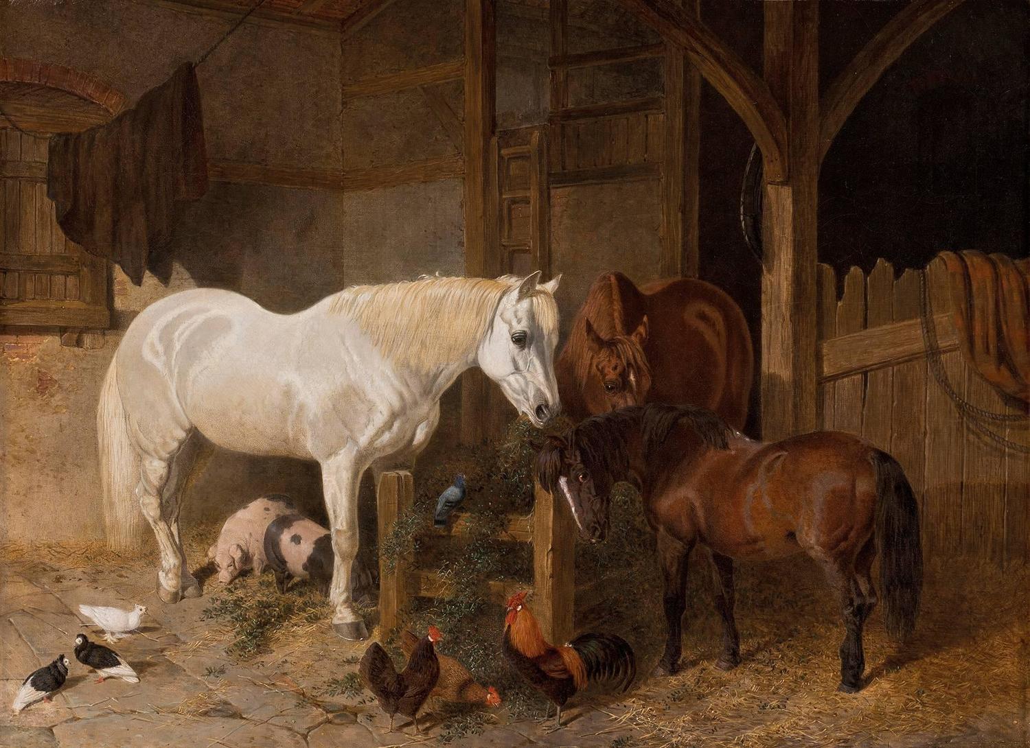 Stable Companions - Alchetron, The Free Social Encyclopedia
