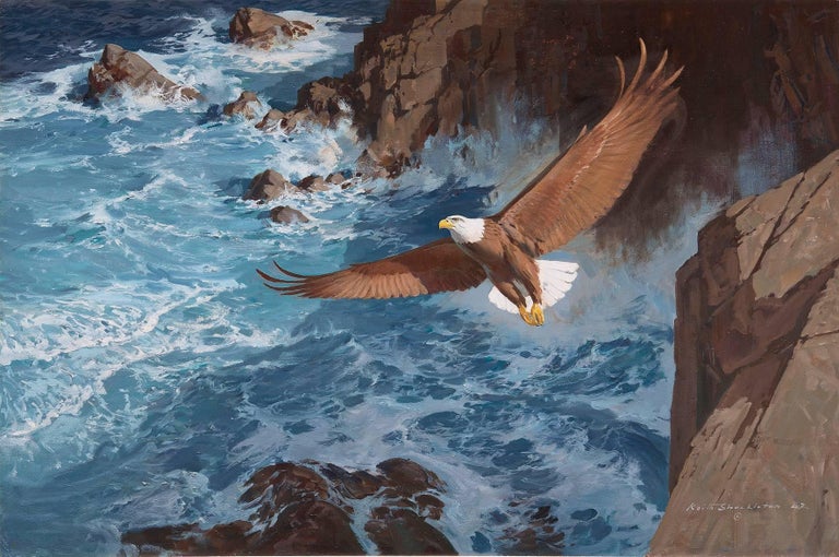 Keith Shackleton - BALD EAGLE GLIDING OVER THE WAVES For Sale at 1stDibs
