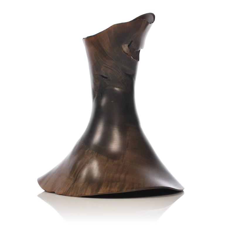 Steve Howlett - Abstract Organic Wood Sculpture by Steve Howlett For ...