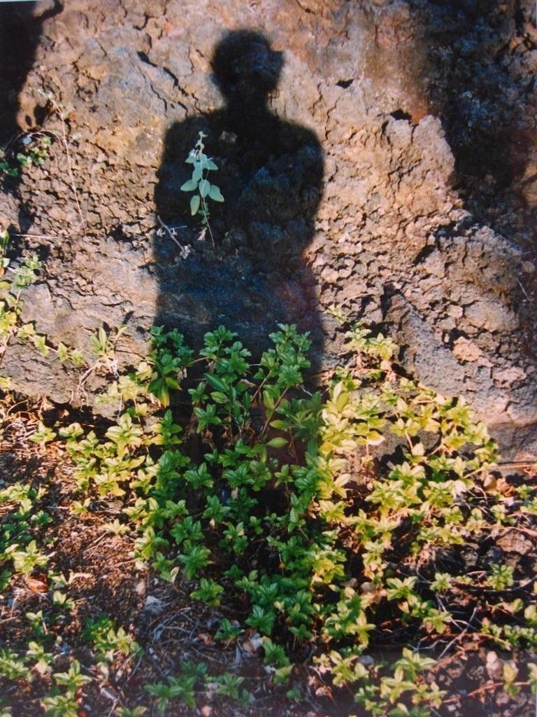 Elmer Batters - Untitled (Denise) 1, circa 1976, Photograph: For Sale ...