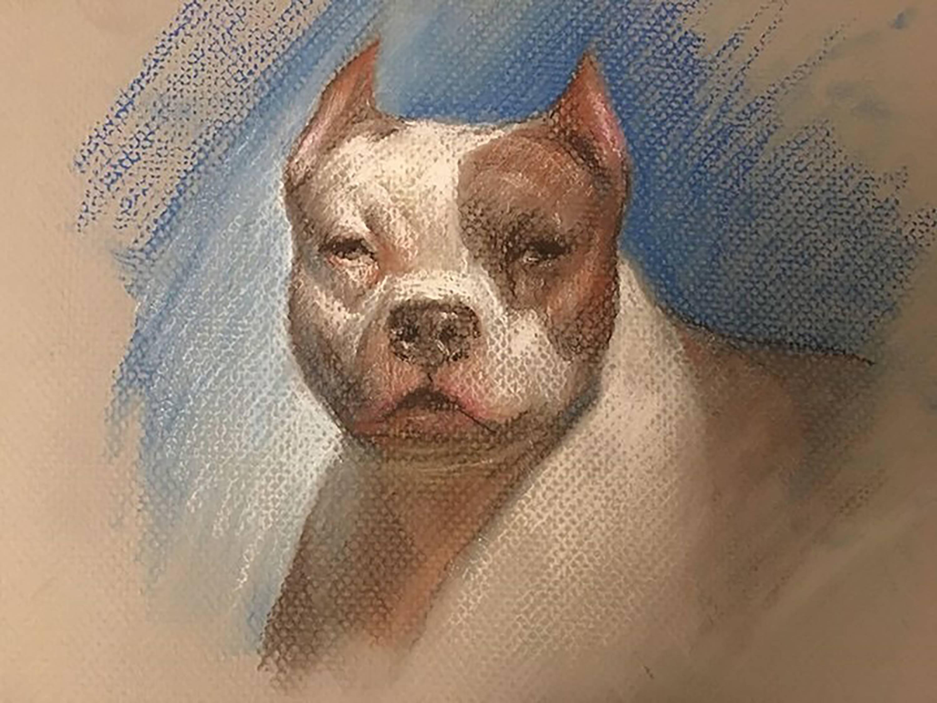 Rose Freymuth-Frazier - Bulldog, Drawing Study of a Brown and White ...
