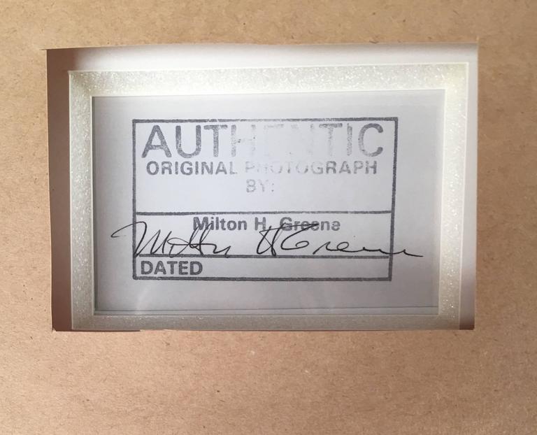 Milton Greene - Milton Greene, "Fishnet Stockings" from The Black ...