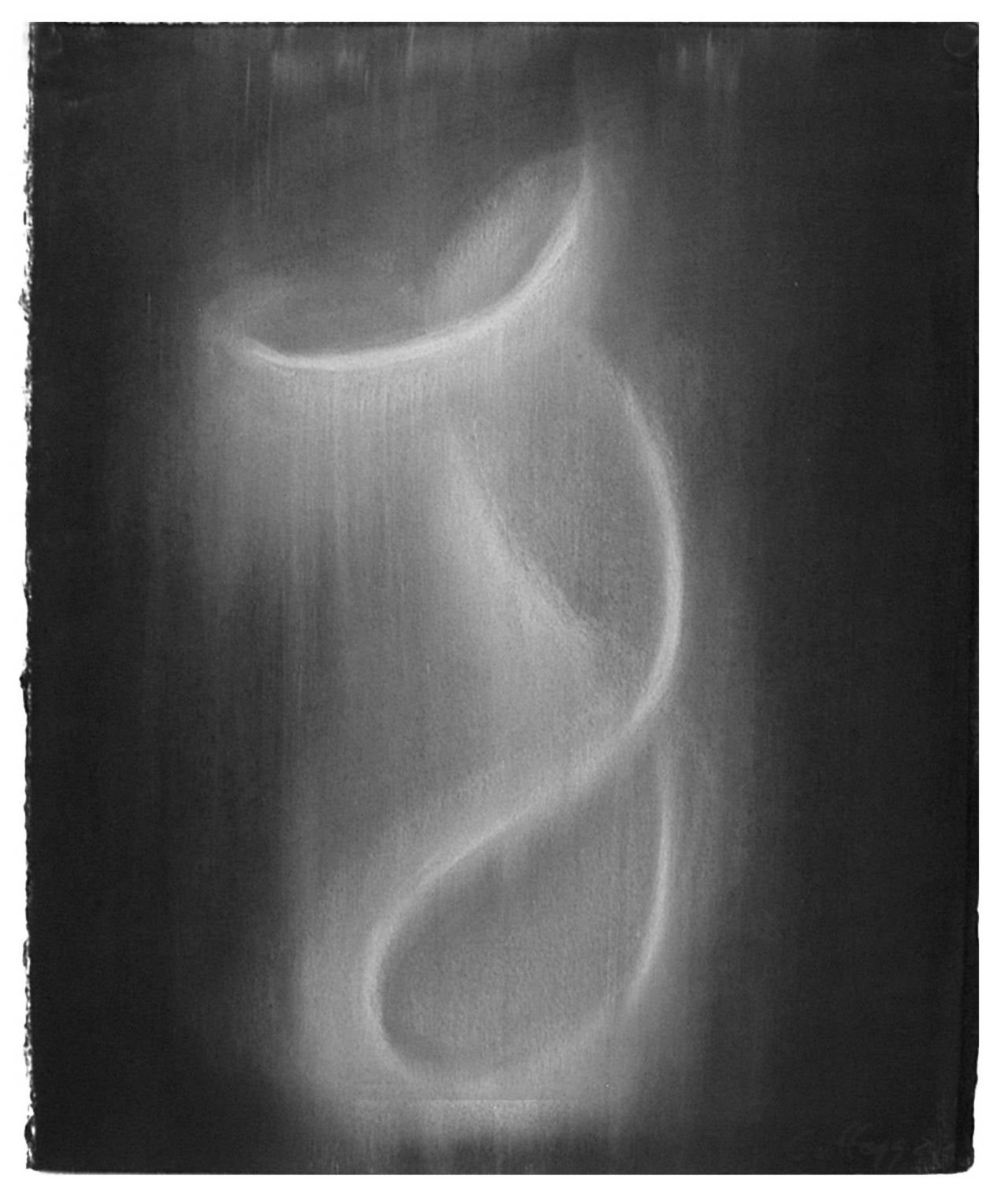 Shane Guffogg - Ginevra de Benci #3 For Sale at 1stDibs