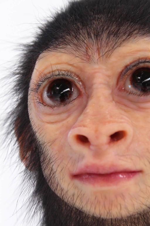 Patricia Piccinini - The Dancer, Sculpture at 1stdibs