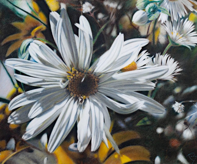 James Ruby - "Untitled (Daisy Close Up)," Pastel on Paper signed by ...