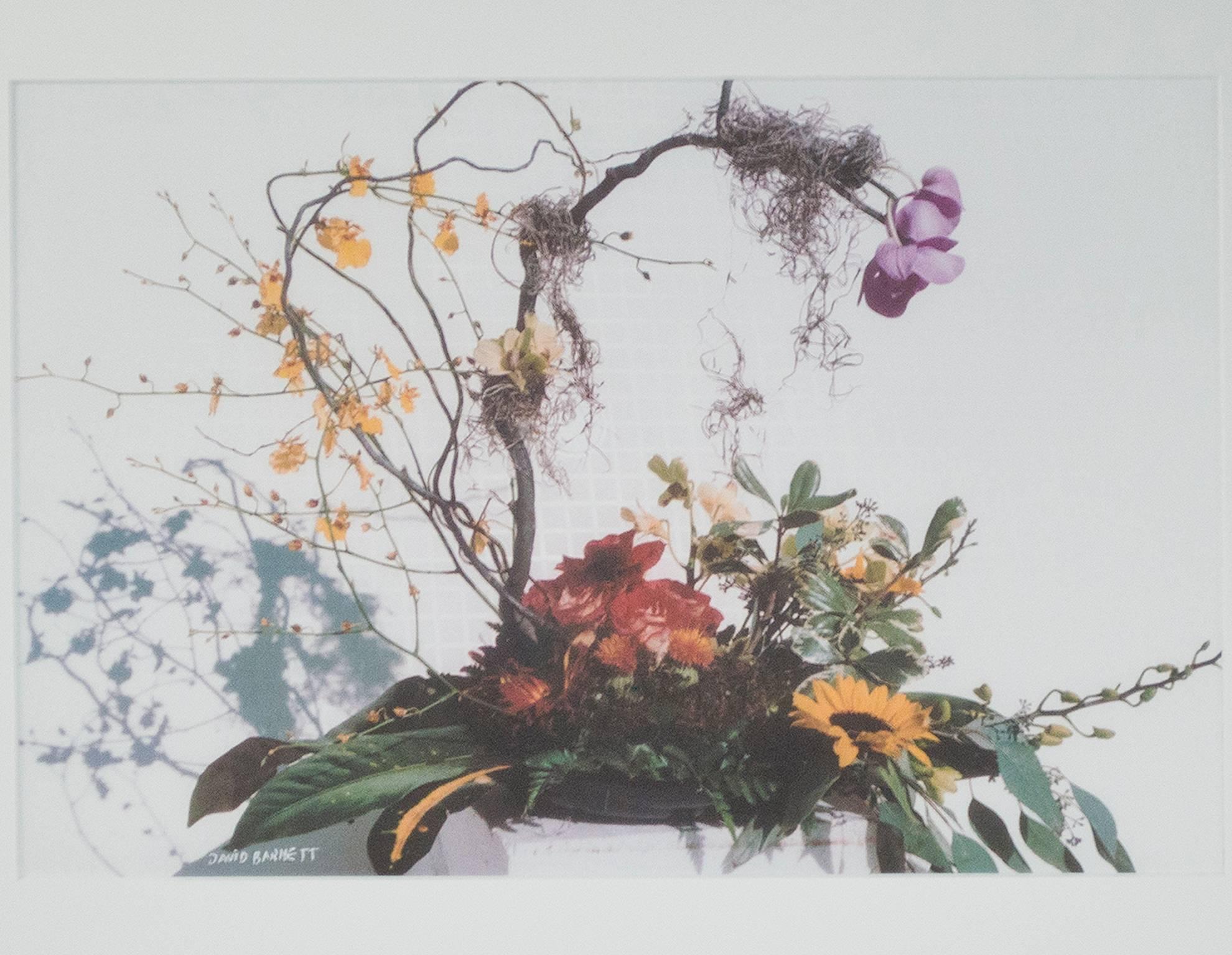 David Barnett - "Synthetic Solar Silhouette," Original Photograph ...