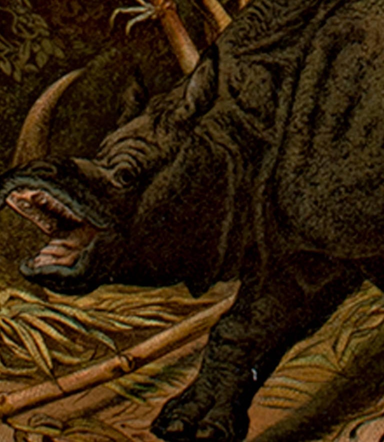 Louis Prang - "Rhinoceros," an Original Color Chromolithograph by Louis ...