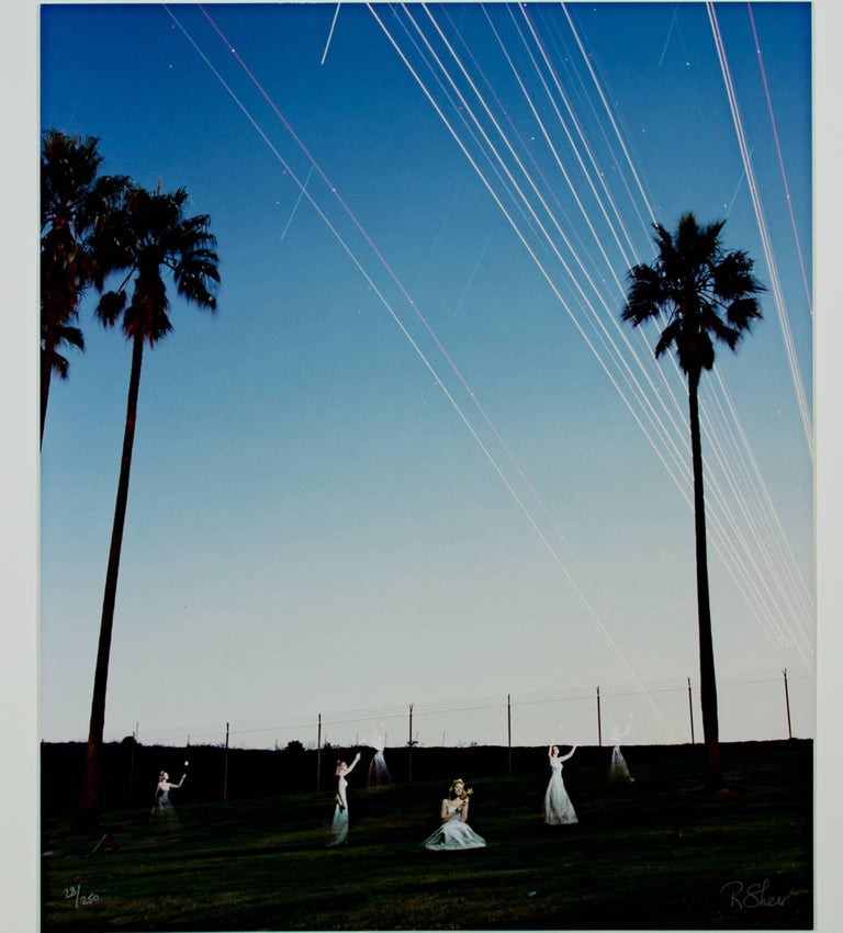 Robert Kawika Sheer - "The Fairy Princess Levitating Planes Into the ...