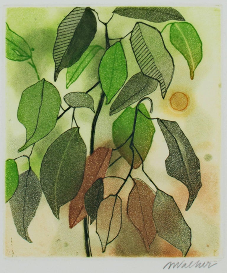 Anne Walker - "Plant Leaves, " Color Etching and Aquatint signed by ...