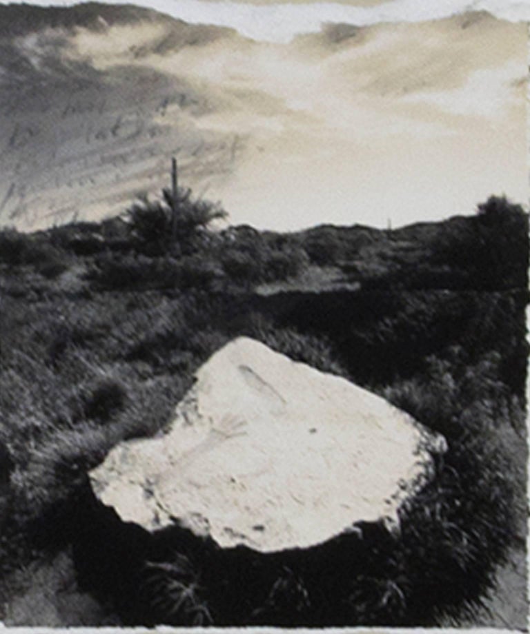 Terri Warpinski - "Field Study - Typology of Hand," Collage Piece by ...