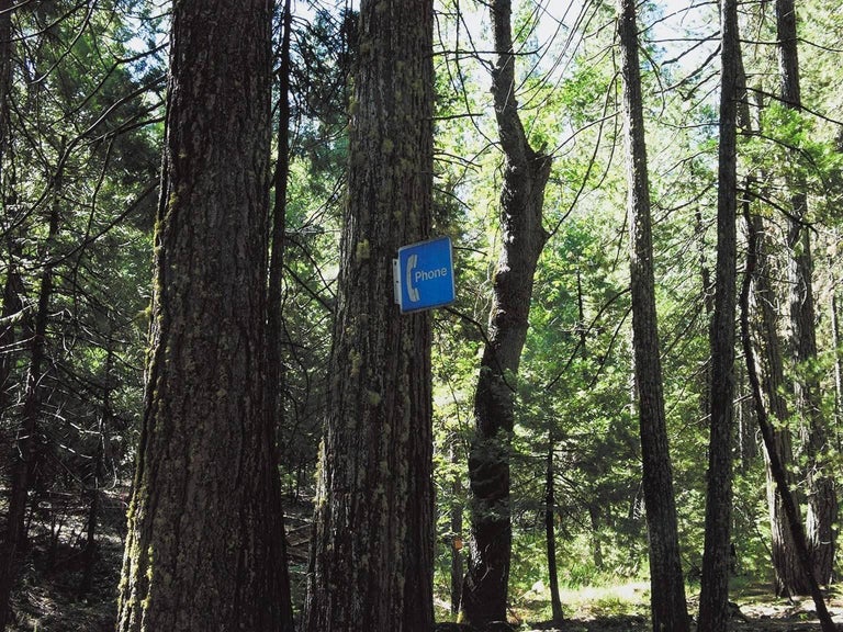 Peter Wegner - Words VI For Sale at 1stDibs