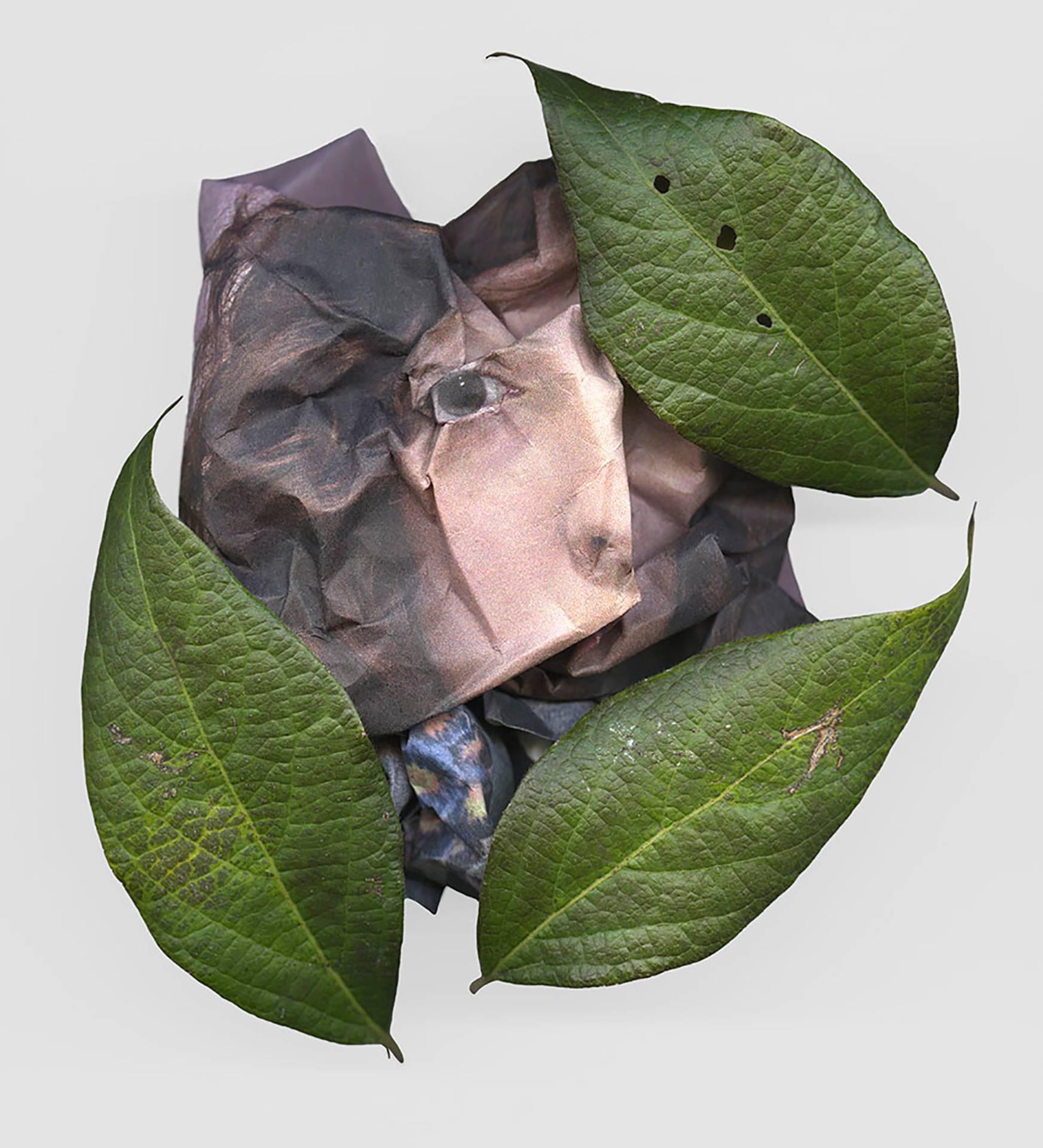 Anna Minnick - Untitled # 10 For Sale at 1stDibs