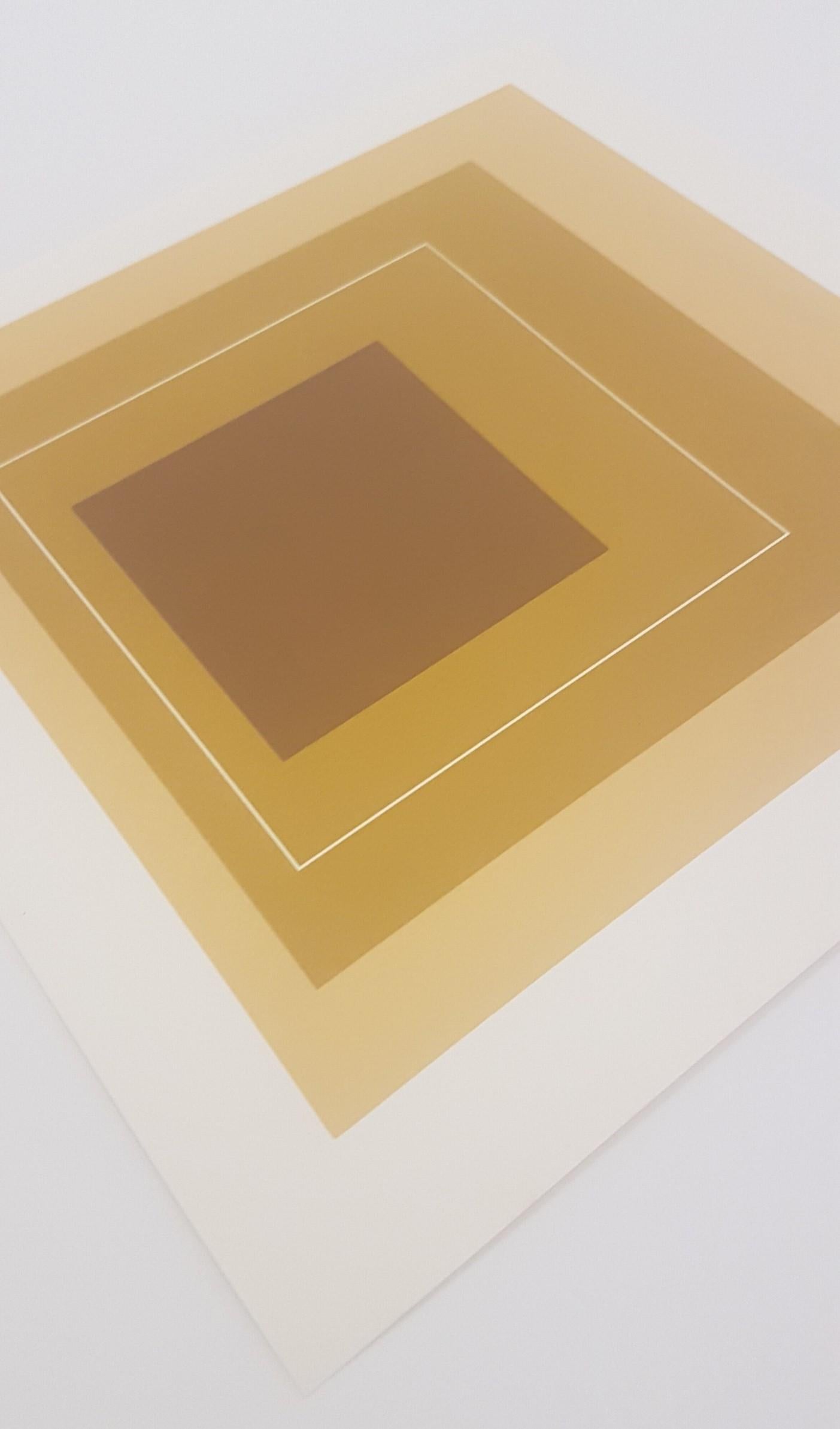 (after) Josef Albers - Quadrati con linee bianche - Set di cinque (5 ...