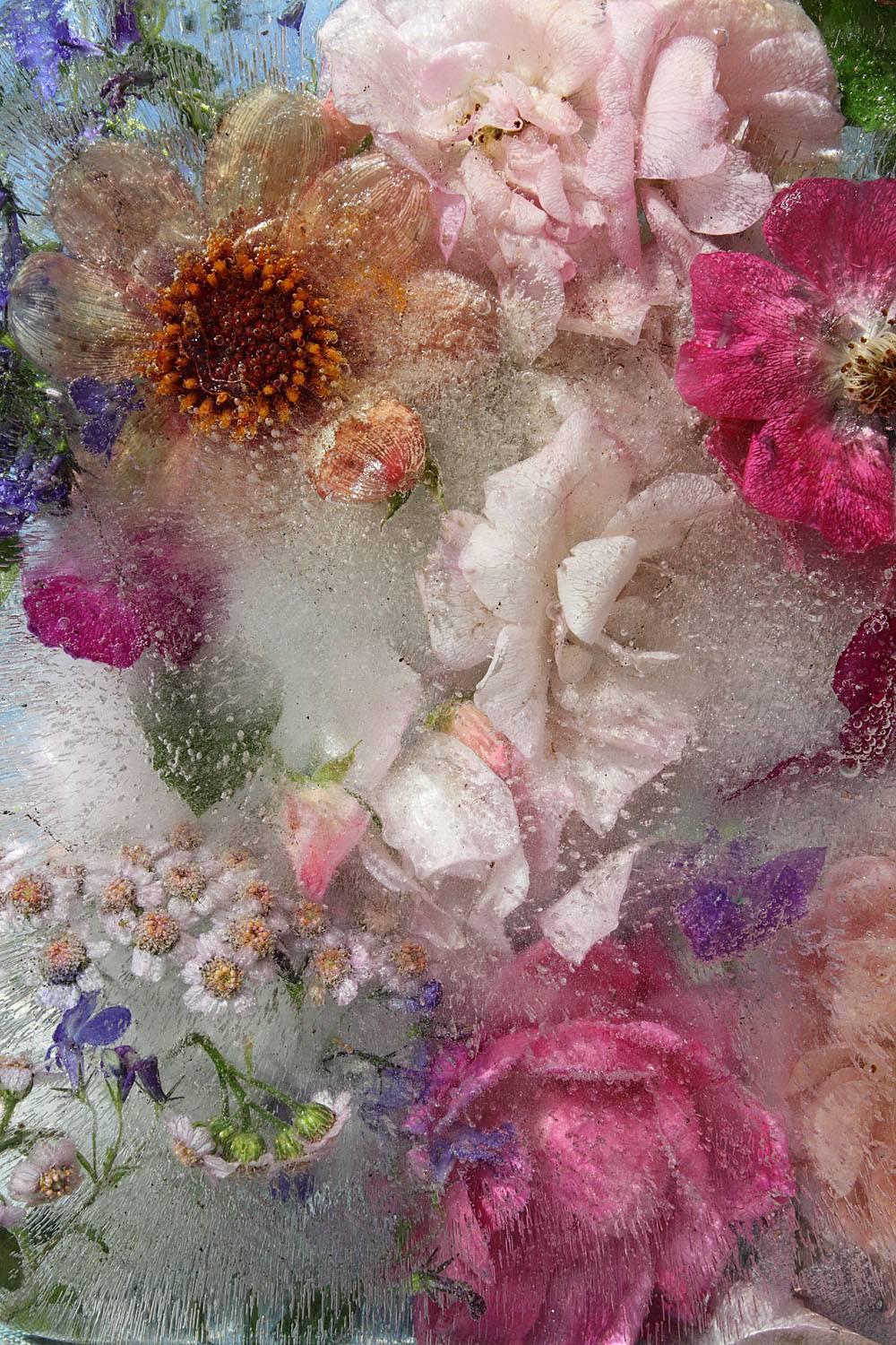 Mary Kocol - Vilma's Garden Plate For Sale at 1stDibs