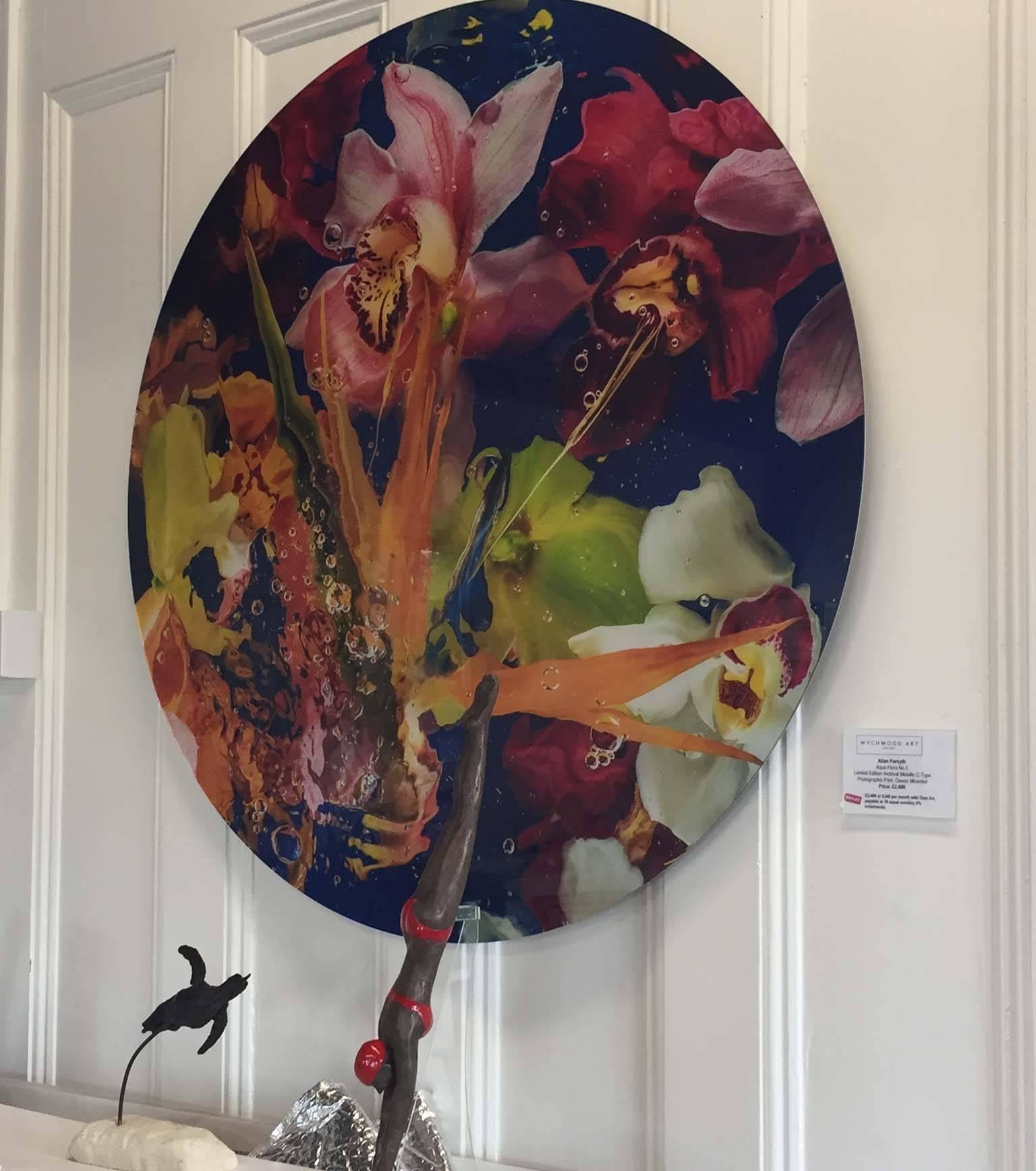 Allan Forsyth - Aqua Flora No.3, Allan Forsyth, Still Life art ...