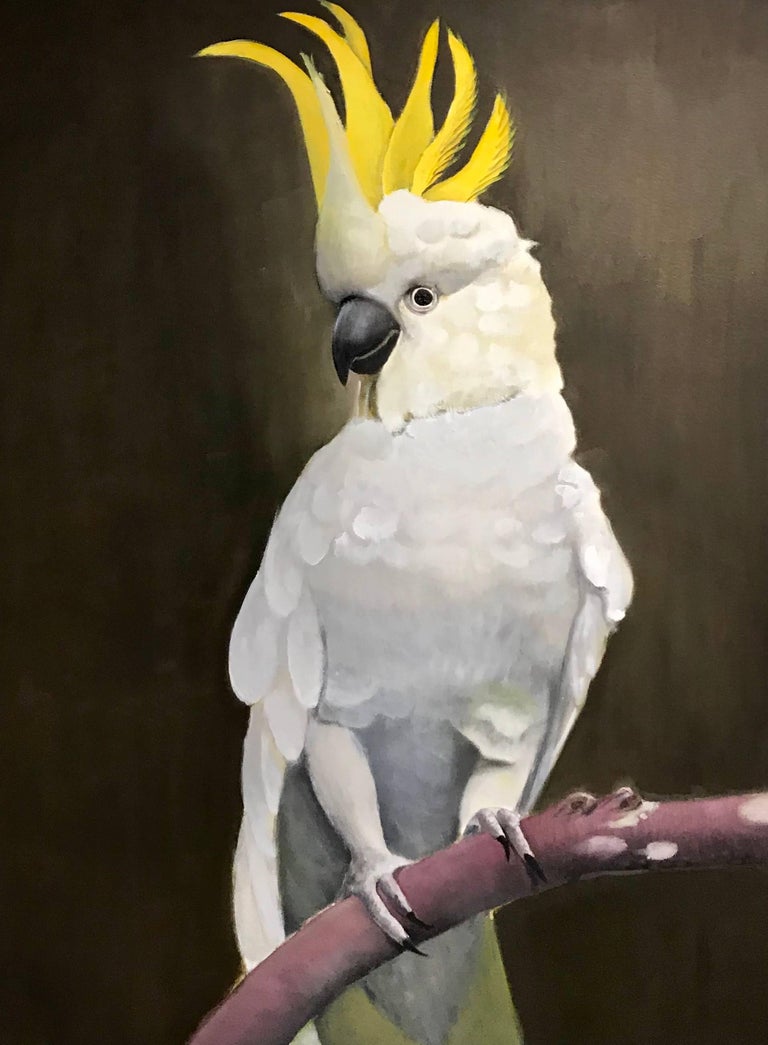 Judith Vivell - 'Cockatoo', Photorealist Oil on Canvas Animal Painting ...