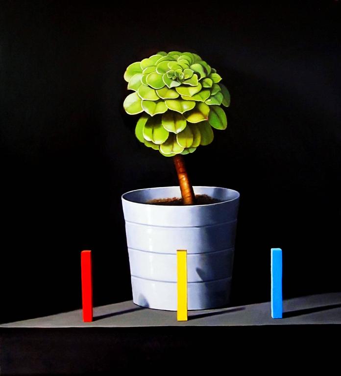 Mark Bryce - Succulent For Sale at 1stDibs