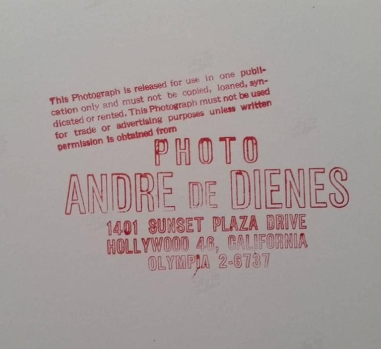 Andre De Dienes Nude At 1stdibs