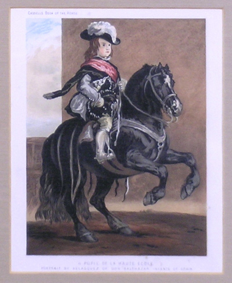 Samuel Sidney - A Pupil of La Haute Ecole For Sale at 1stDibs | ecole pupil