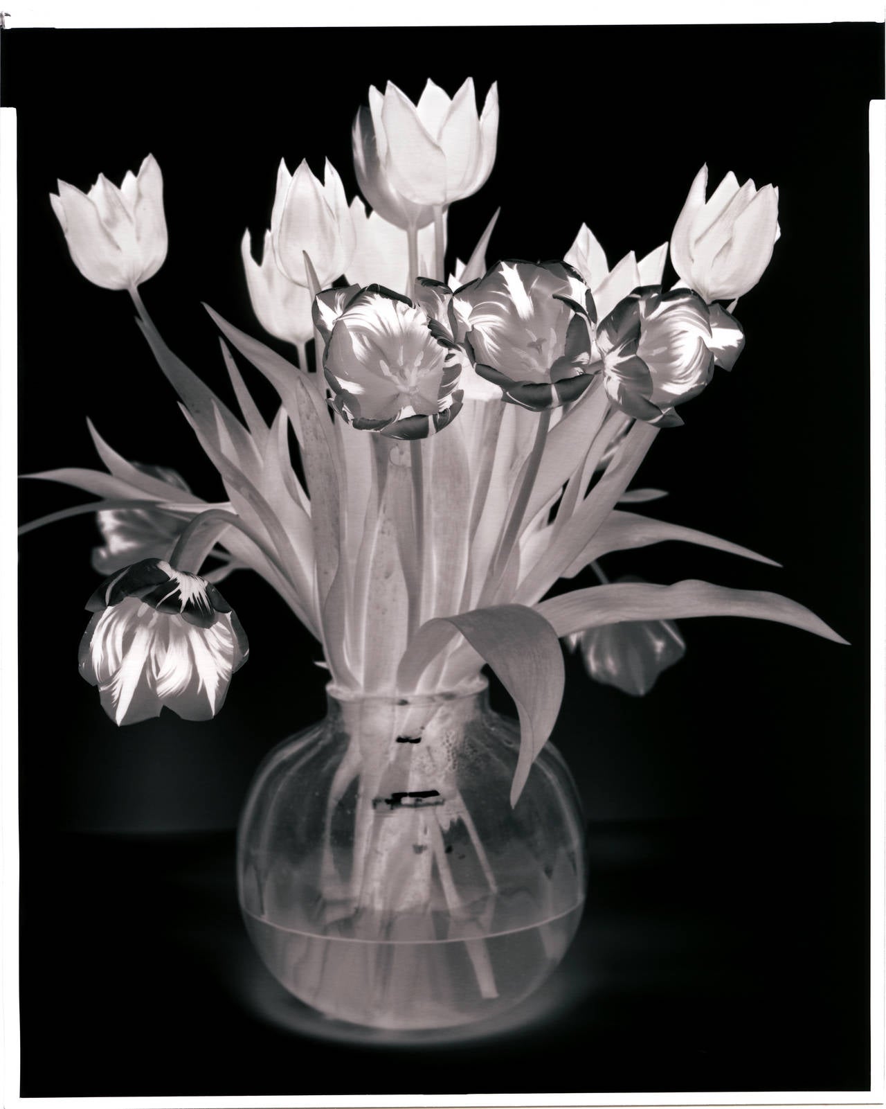 David Scheinbaum - Tulips in Vase For Sale at 1stDibs