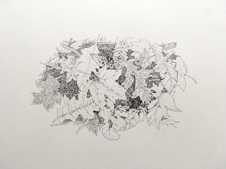 Kathleen Vance - Untitled (forest floor) For Sale at 1stDibs