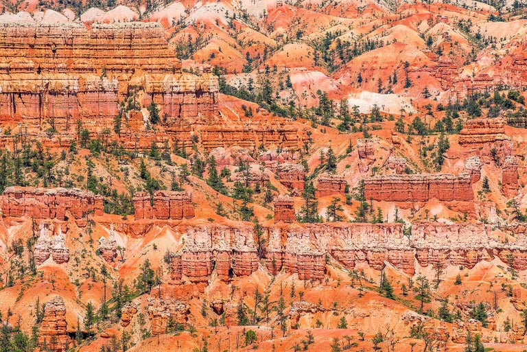 Zoe Wetherall - Bryce Canyon, dye sublimated print on aluminum For Sale ...