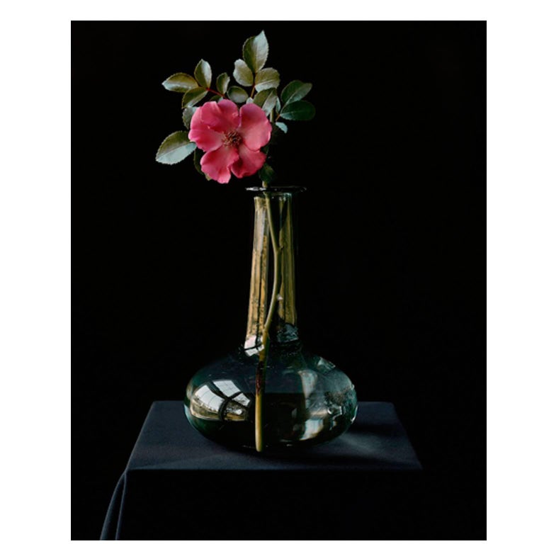 Tom Baril - Single Rose in Vase For Sale at 1stDibs