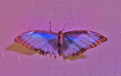 Pigment Color Photography - 5,023 For Sale at 1stdibs