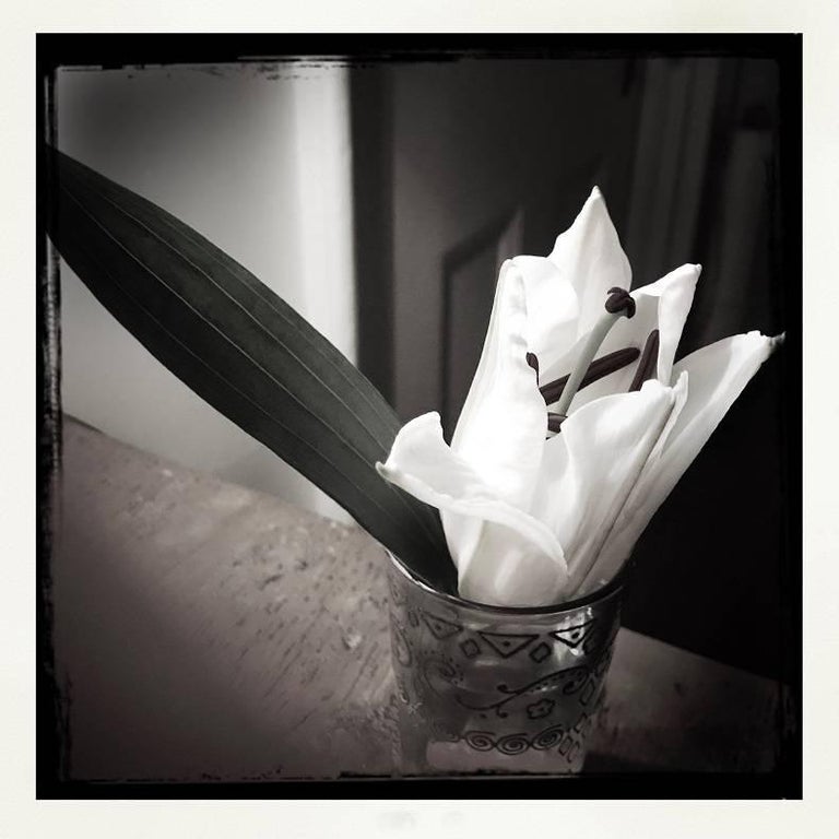 Michael Alago - Brooklyn Lily For Sale at 1stDibs