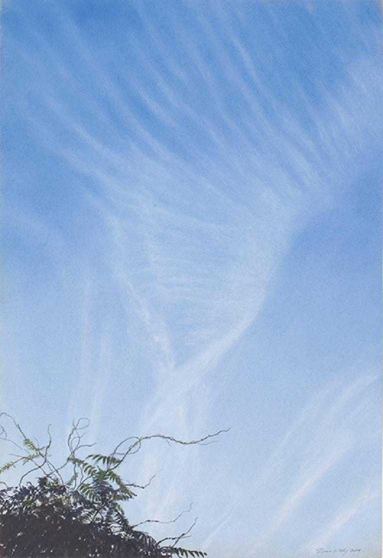 Tim Daly - Backyard Vortex For Sale at 1stDibs