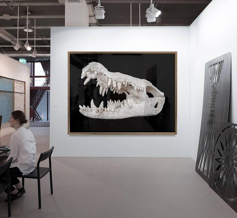 Alexander Palacios - Crocodile I For Sale at 1stDibs