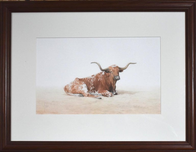 Steve Forbis - "Texas Longhorn" Fantastic Colored Pencil Drawing. at ...