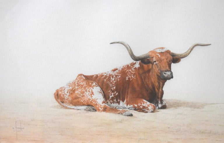 Steve Forbis - "Texas Longhorn" Fantastic Colored Pencil Drawing. at ...